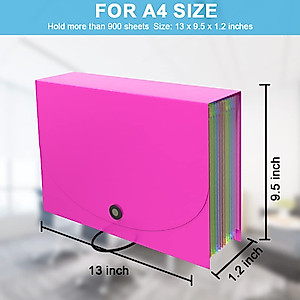 CN1ST Expanding File Folder with Sticky Labels, Accordian File folders Organizer, Expandable Filing Folder for Documents Letter Size and A4 Size