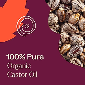 Plant Therapy Castor Oil USDA Organic Cold Pressed 100% Pure Hexane Free 16 oz Conditioning & Healing, For Dry Skin, Hair Growth - Skin, Hair Care, Eyelashes