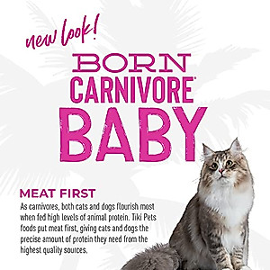 Tiki Cat Born Carnivore Baby, High-Protein and Grain-Free, Complete and Balanced Dry Cat Food for Kittens 6 Weeks+, 5.6 lbs. Bag