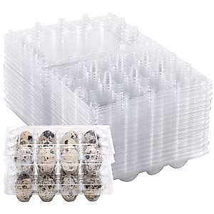 LayHyand 60 Pcs Quail Egg Cartons, Square Dozen Egg Boxes, Classical 3x4 Style Holds Up to Twelve 12 Count Small Quail Eggs Basket, Pigeon Eggs, Bulk Carton Quail Egg Tray Container for Refrigerator