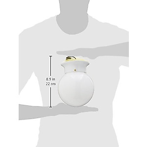 Westinghouse 66680 One-Light Flush-Mount, 1 Count (Pack of 1), White with Pull Chain