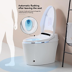 Smart Toilets with Heated Bidet Seat, Portable toilet with bidet built, Bidet toilet with Dryer and Warm Water