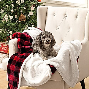 HBlife Sherpa Buffalo Plaid Christmas Throw Blanket for Couch 50X60 Inches, Super Cozy Fuzzy Fleece Warm Plush Holiday Decorative Cabin Blankets and Throws, Black and Red