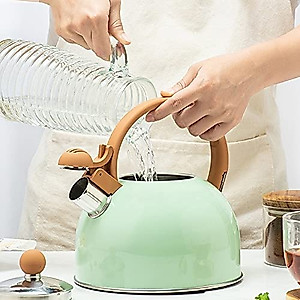 SHSYCER Tea Kettle, 2.6 Quart /2.5 Liter Stainless Steel Tea Pot, Food Grade Stovetops Tea pot Loud Whistling for Tea, Coffee, Milk etc, Gas Electric Applicable-Light Green