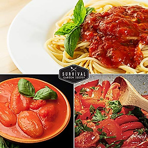 Survival Garden Seeds - San Marzano Tomato Seed for Planting - Packet with Instructions to Plant and Grow Tomatoes in Your Home Vegetable Garden - Non-GMO Heirloom Variety - 4 Packs