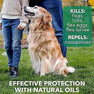 Hartz Nature’s Shield Flea & Tick Spray Treatment for Dogs, Natural and Effective Flea & Tick Prevention and Protection for Dogs with Cedarwood and Lemongrass Oil, 14 Ounces