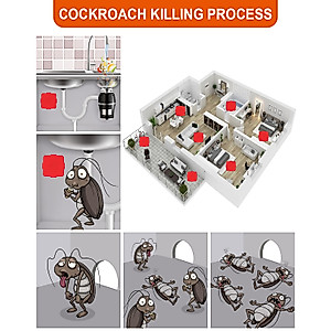 Dawhunt Cockroach Gel Bait Roach Killing Gel for Indoor and Outdoor Use