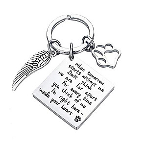 ShiQiao Spl Pet Bereavement Memorial Remembrance Gift - When Tomorrow Starts Without Me Paw Prints Keychain Dog Cat Loss Gifts for Pet Owner Sympathy Gifts
