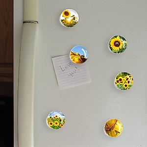 Sunflower Glass Fridge Magnets, Pretty Refrigerator Magnets for Kitchen School Office Cabinet Refrigerator Whiteboard Photo 6pcs