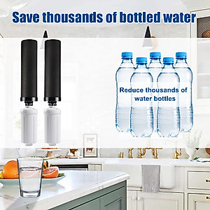 BB9-2 Black and PF-2 Fluoride Water Filter Replacement, Compatible with Berkey Gravity Filtration System Purification Elements Doulton Super Sterasyl and Traveler, Nomad, King, Big Series