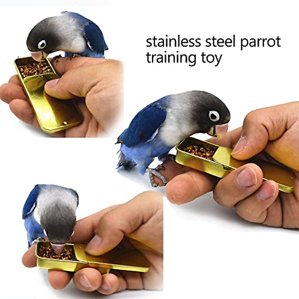 2 Pcs PARTYZOO Bird Training Hand-held Feeder Portable Bird Feeder Cups Parrot Outdoor Training Food Jar Pet Birds Food Treat Box Storage Container Bird Travel Feeder (Black)