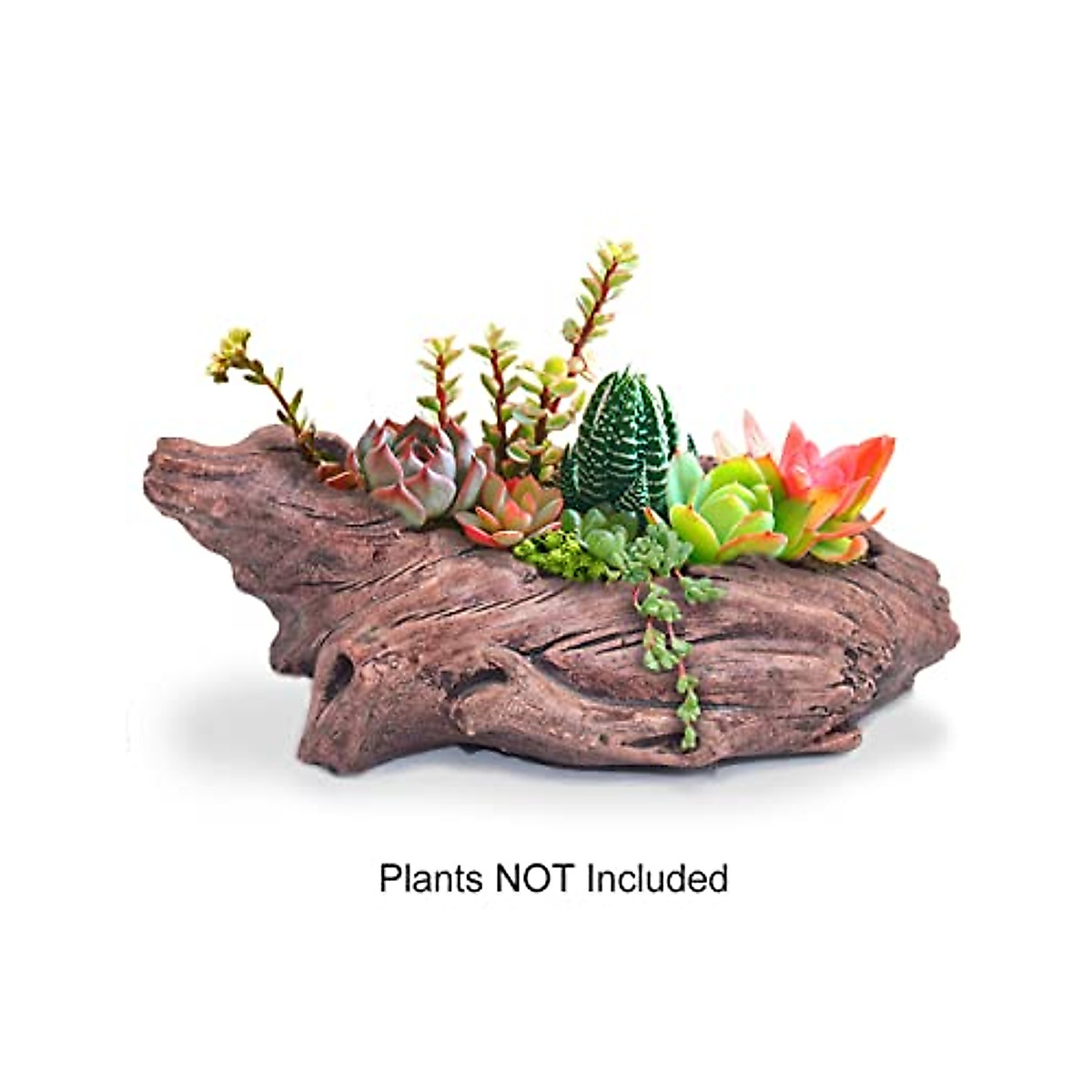 Dahlia Driftwood Stump Log Concrete Planter/Succulent Pot/Plant Pot, 7.9L x 4.3W