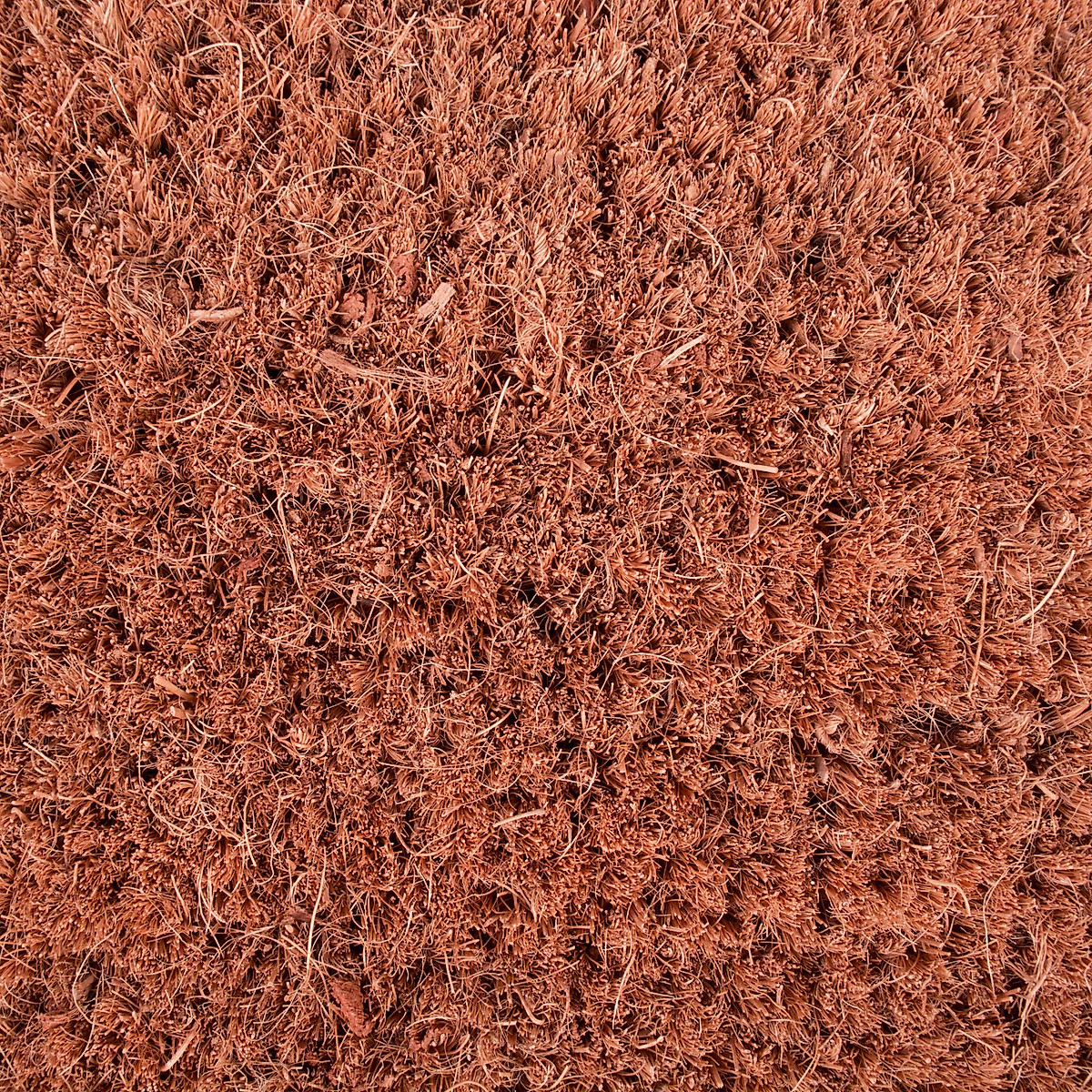 DII Heavy Duty Coir Doormat with Nonslip Vinyl Backing, Welcome Mat Outdoor Entry Way & Front Porch Décor, Home Sweet Gnome, 17x29