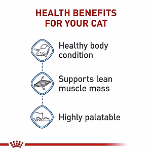 Royal Canin Feline Weight Care Thin Slices in Gravy Canned Adult Wet Cat Food, 3 oz can (12-count)