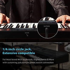 FZONE Sustain Pedal for MIDI Keyboards Digital Pianos Foot Pedal 6.6FT Extension Cable, Polarity Switch