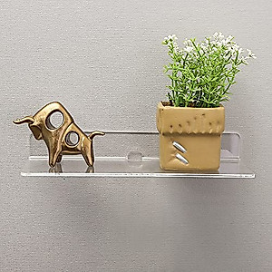 IEEK 4 PCS Clear Small Acrylic Floating Wall Shelves,9 Inch Adhesive Display Shelf for Nintendo Switch/Smart Speaker/Security Cameras/Action Figures,No Damage Expand Wall Space