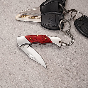 EZKIT Folding Pocket Knife with Back Lock, 2in Stainless Blade and Wood Handle, 4.8in Total Length, Compact EDC Gear