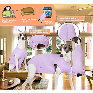 Wabdhaly Dog Surgery Recovery Suit for Small Female Spay,Anti Licking Dog Surgical Recovery Onesie,Fashion Striped Purple S