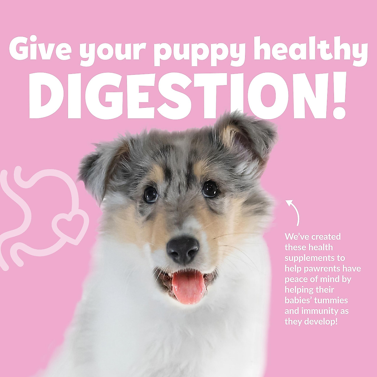 Snuggle Puppy Puppy Bites Gut Health Supplement - Dog Probiotics & Prebiotics for Gut Health - Pet Supplement and Supplies for Dog Health - Dog Digestive Health Support - 60 Soft Chews
