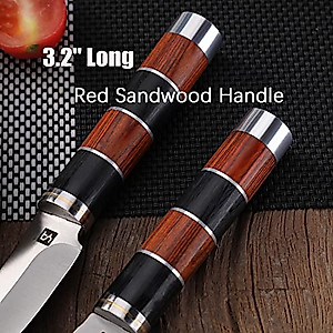 yq 3 Pieces Cheese Knives Set for Charcuterie Boards,Colorful Wooden Handle Cheese Knife Set for Soft Hard Cheeses,Parmesan Knife Cheese Cutter Serving Fork,Gift Box