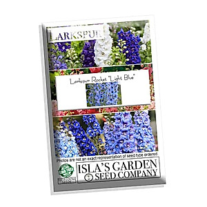 Larkspur Rocket Light Blue Flower Seeds, 250+ Seeds Per Packet, (Isla's Garden Seeds), Non GMO & Heirloom Seeds, Botanical Name: Consolida ajacis, Great Home Garden Gift
