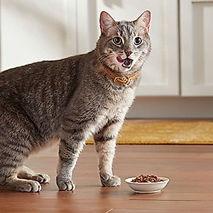 Meow Mix Tenders in Sauce Wet Cat Food, Poultry & Beef Variety Pack, 2.75 Ounce Cup (Pack of 48)