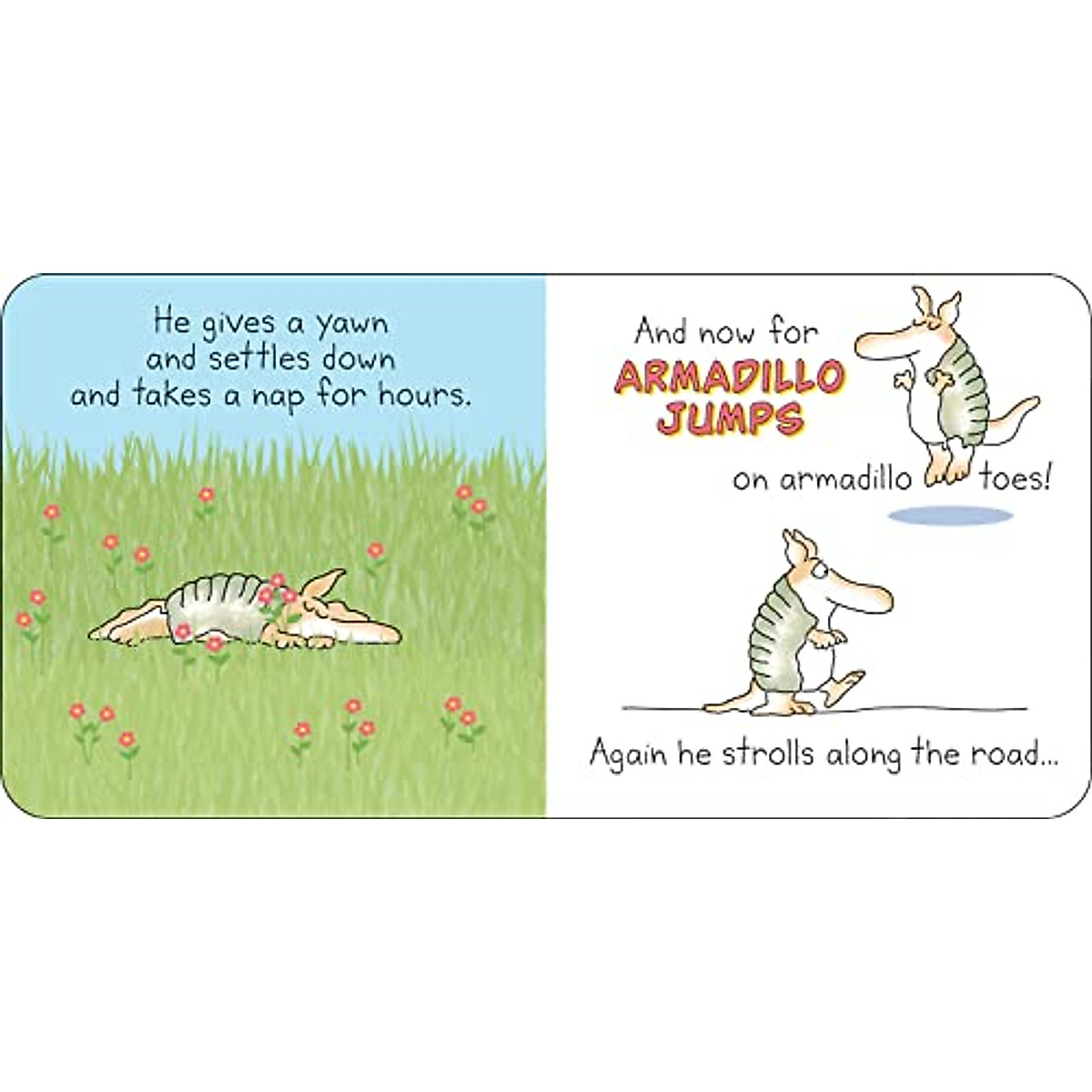But Not the Armadillo