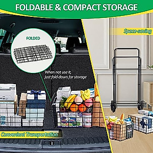 Spurgehom 2-Tier Shopping Cart with Wheels Folding Grocery Cart with Removable Double Baskets 360° Rolling Laundry Cart Compact Pet Stroller Utility Cart for Groceries with Oxford Cloth Liner, Black