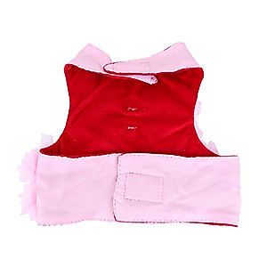 POPETPOP Dog Leash and Harness for Girls,Cute Dog Flower Harness Waking Vest Harness and Pet Leash for Halloween Wedding Cat Puppy Girl-Size XL