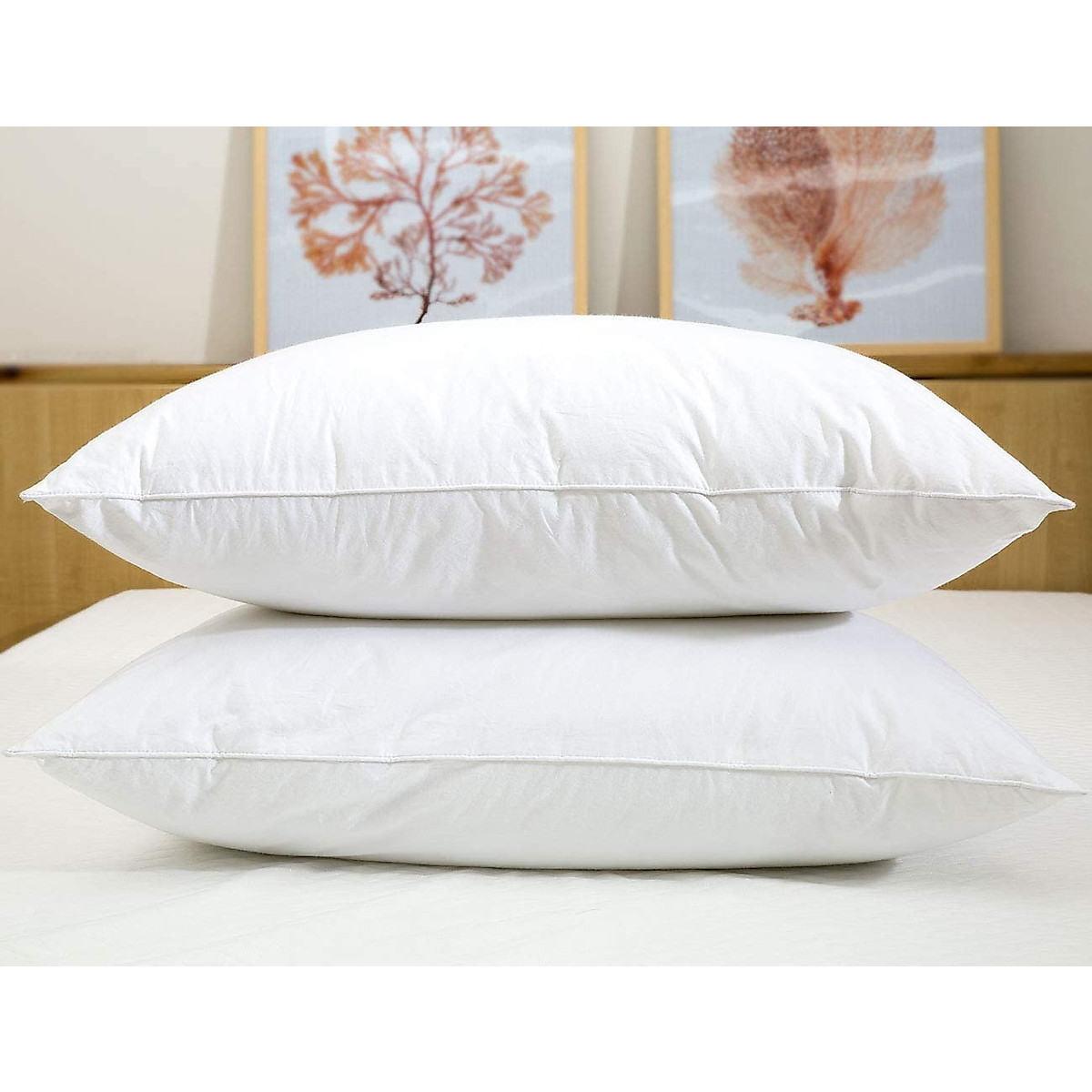 JA COMFORTS Duck Feather Down Bed Pillows for Sleeping(2 Packs)-Standard/Queen,High Filling Weight,600 Thread Count,Double-Layer Downproof Fabric Design,10% Duck Down,Cotton Cover,White