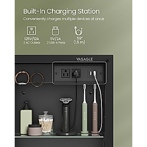 VASAGLE Medicine Cabinet with Mirror and Lights, Wall-Mounted Bathroom Wall Cabinet with Charging Station, 2 AC Outlets, 2 USB-A Ports, Rounded Rectangle, Adjustable Shelf, Black UBBK127B02