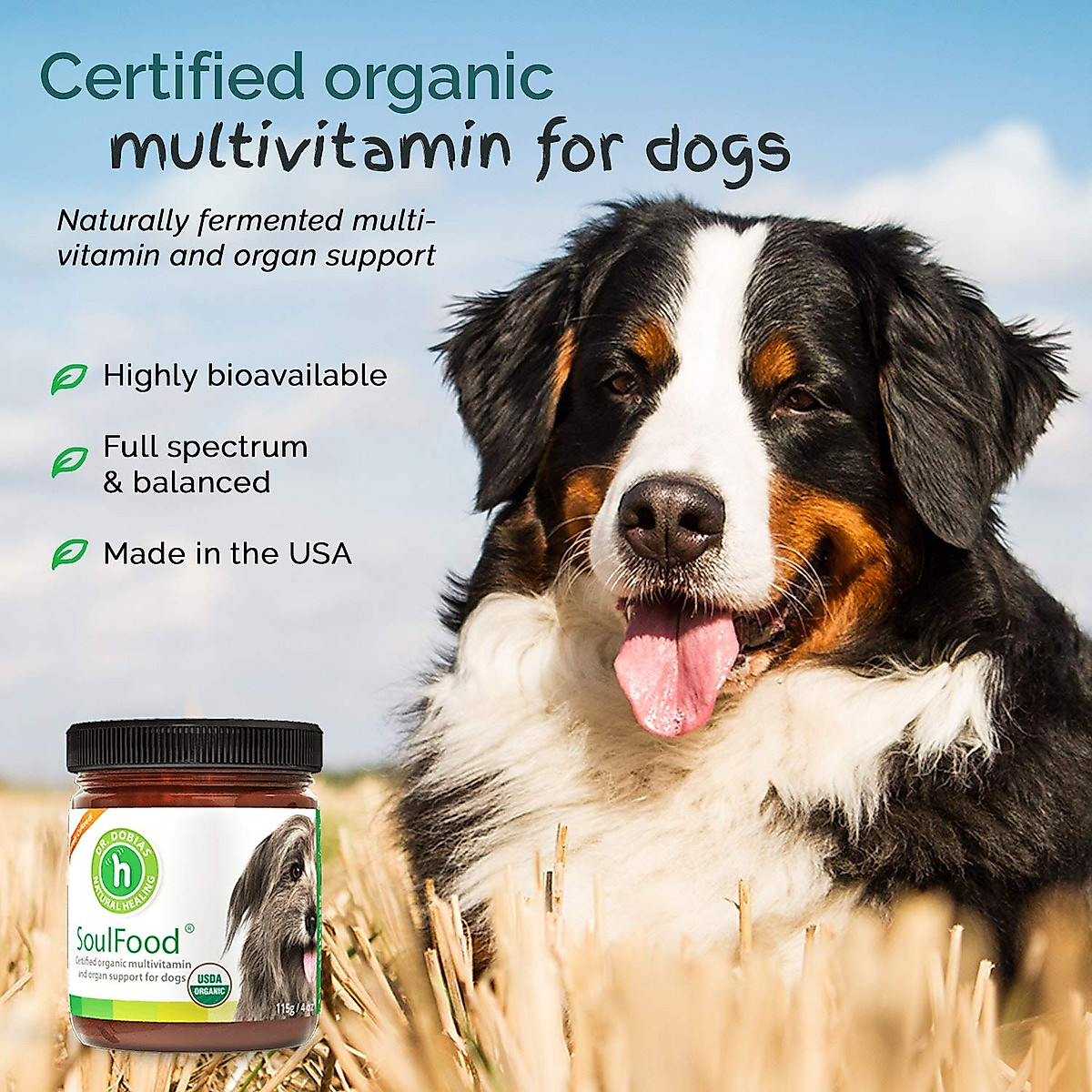 SoulFood Multivitamin — Certified organic multi-vitamin for dogs. Naturally cultured and whole-food based, up to 3 months supply.