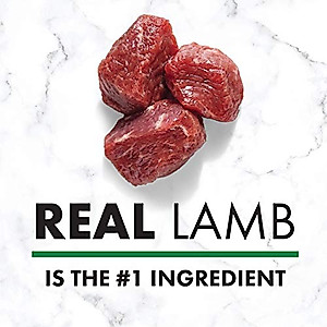 Nutro Natural Choice Small Bites Adult Dry Dog Food, Lamb & Brown Rice Recipe Dog Kibble, 12 lb. Bag