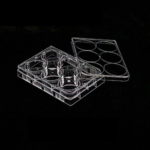 6 Well Culture Plate - Culture Plate 6 Well - with Lid, Flat Bottom, Individual Pack (Pack of 10)