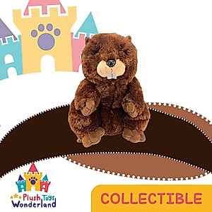 PLUSH TOYS WONDERLAND Justin Beaver Plush Toy, 8-Inch Huggable Stuffed Brown Beaver Zoo Animal, for Kids, Birthdays, Baby Showers, & Toddlers