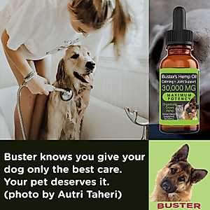 Enhance Me Organic Hemp Oil for Dogs & Cats, (3-Pack) Max Potency - Made in USA - Omega Rich 3, 6 & 9 - Supports Hip & Joint Health, Natural Relief