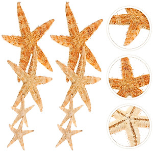 SEWACC 100pcs Ocean Beach Natural Seashells Sea Stars Nautical Fish Tank Aquarium Decor Table Scatter Vase Fillers for Christmas Tree Ornament Wedding
