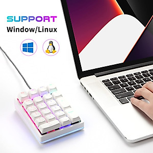 MOTOSPEED Mechanical Numeric Keypad Hot-Swap GATERON Switch Wired Gaming Keypad RGB Backlit PBT Keycap 21 Keys Mini Numpad Portable Keypad Extended Layout(Gateron Red)