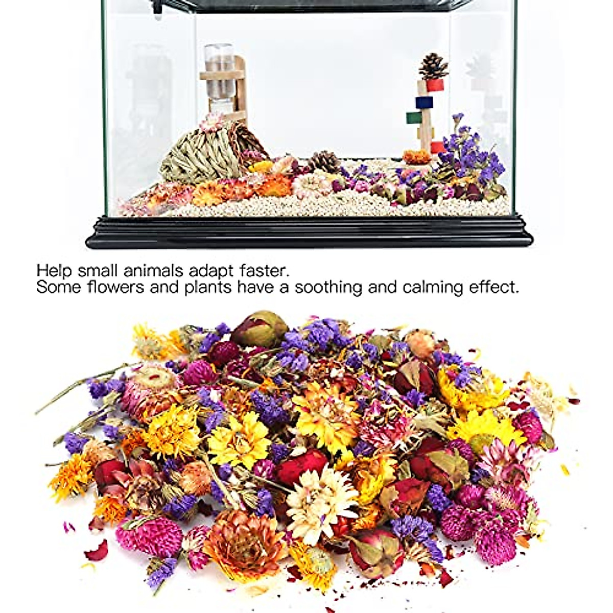 GLOGLOW Small Pet Bedding, Dried Flowers Padding for Squirrels Guinea Pigs Rabbits Chinchillas Hamsters Gerbils(100g) Treats