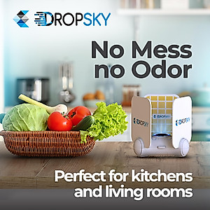 Dropsky 360 Portable Flying Insect Trap, Gnat Traps for House Indoor & Outdoor- Higher Coverage Blue Light Fly Trap- Get Rid of Flies- Safe for Pets & Kids- Fly Trap + 3 Glue Cards+ USB+Cable Charger​