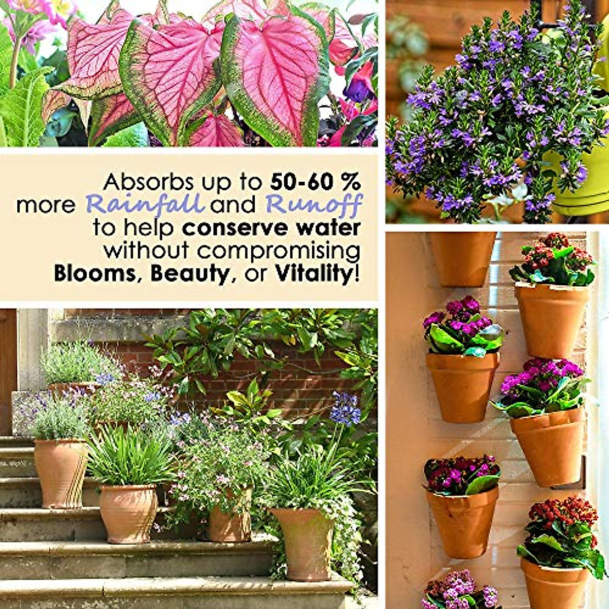Retain by Rain Soil – 22 Oz – Water Holding Polymer Crystals Soil Additive – Store Up to 7 Gallons of Water for House & Garden Plants, Hanging Baskets – Reduce Watering Frequency