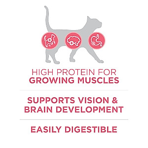 Purina ONE High Protein, Natural Dry Kitten Food, +Plus Healthy Kitten Formula - 16 lb. Bag