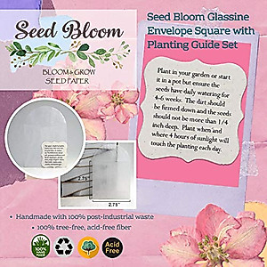 Seed Bloom 72-Piece Set Handmade Bloom & Grow Seed Paper Wildflower Seeds Embedded Recycled Seeded Paper Gift Tags Gift Cards Stationery & Gift Wrapping Supplies (Hearts, Envelope, & Planting Guide)