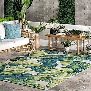 nuLOOM Lisa Floral Indoor/Outdoor Area Rug, 6' x 9', Multi Color, Rectangular, 0.25" Thick
