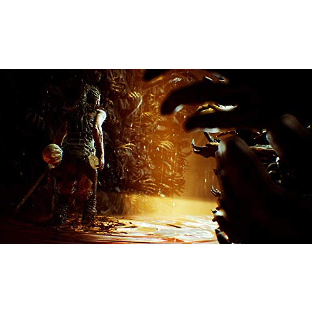 Hellblade: Senua's Sacrifice - PlayStation 4