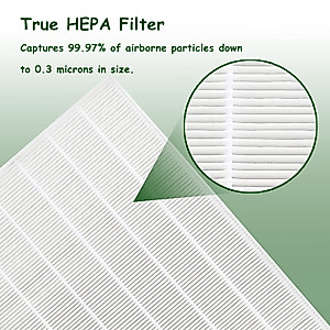 116130 HEPA Replacement Filter H Compatible with Winix 5500-2 Air Purifier and Models AM80, HEPA Filter Only 3 Pack