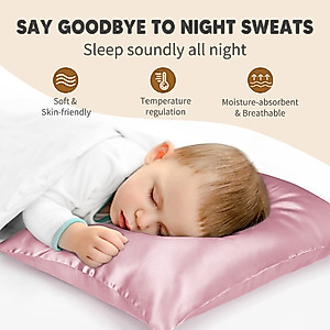 OLESILK 100% Mulberry Silk Toddler Pillowcase for Hair and Skin, Both Sides 19 Momme Pure Natural Silk Travel Pillow Cases with Hidden Zipper, 13"x 18", Light Plum