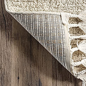 nuLOOM Ashton Shaggy Contemporary Abstract Tassel Area Rug, 4' x 6', Beige