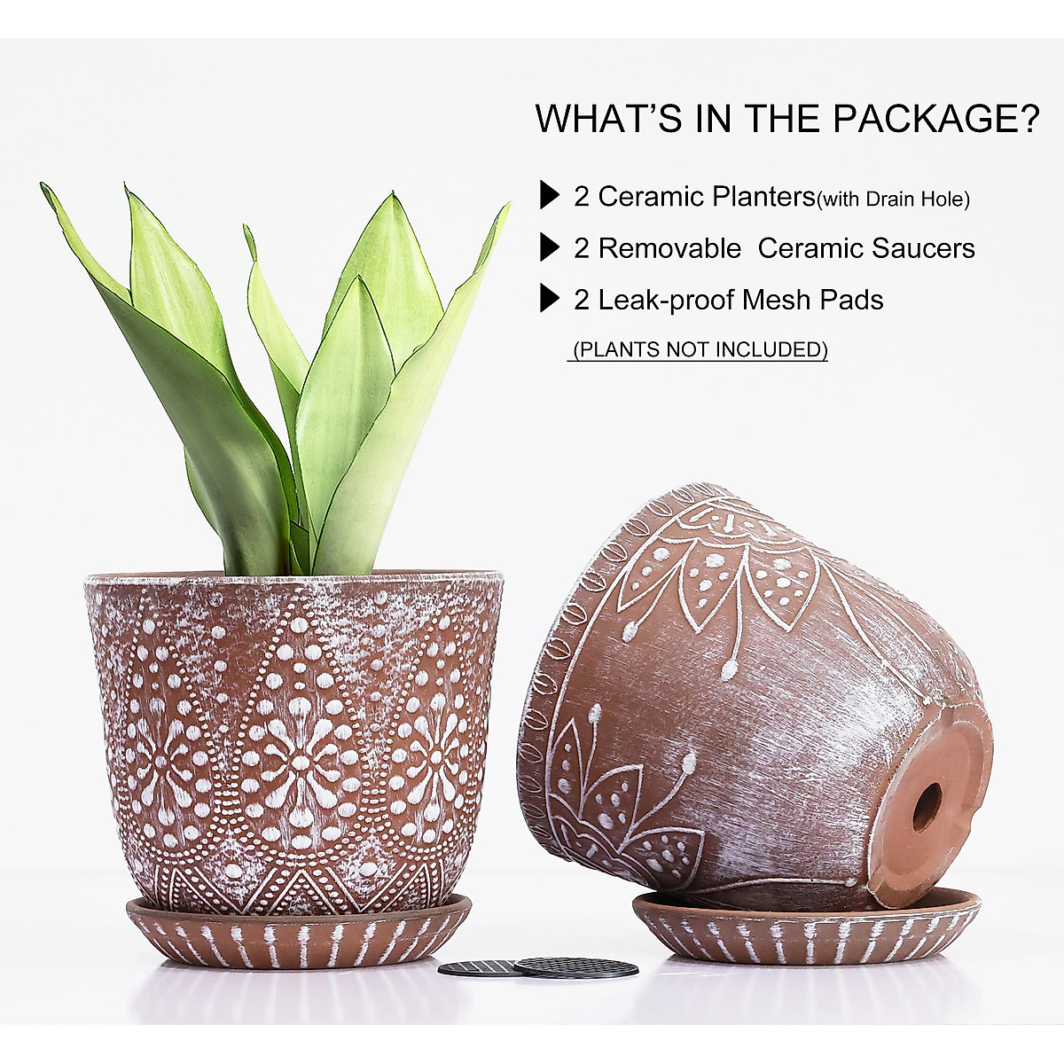 Gepege 6 Inch Beaded Ceramic Planter Set of 2 with Drainage Hole and Saucer for Plants, Indoor-Outdoor Large Round Succulent Orchid Flower Pot