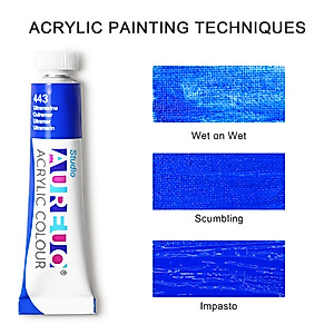 AUREUO Acrylic Paint Set 24 x 12ml / 0.4 Fl Oz Tubes Non-toxic Christmas Color Paints for Canvas, Wood, Craft Painting Supplies for Students & Beginners